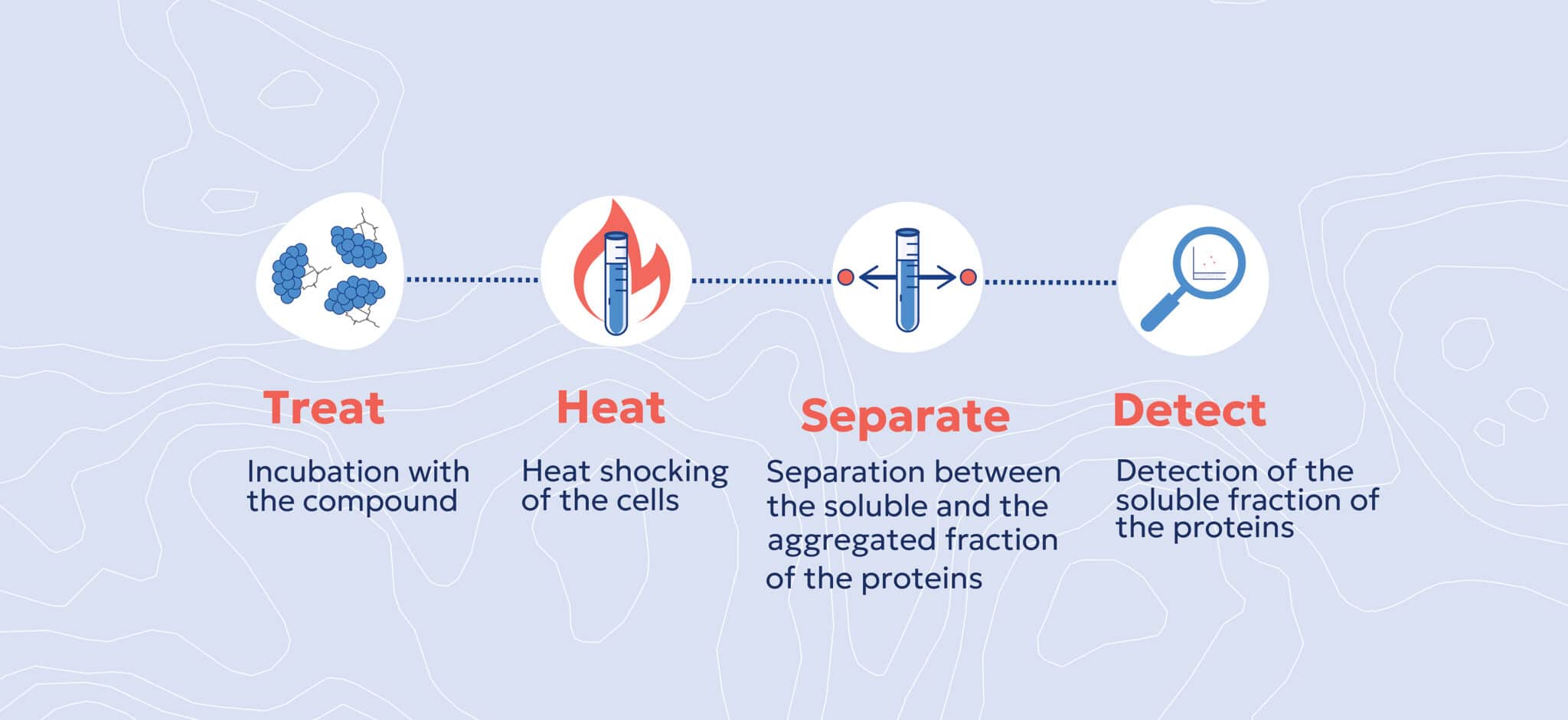 What Is CETSA? Cellular Thermal Shift Assay Explained